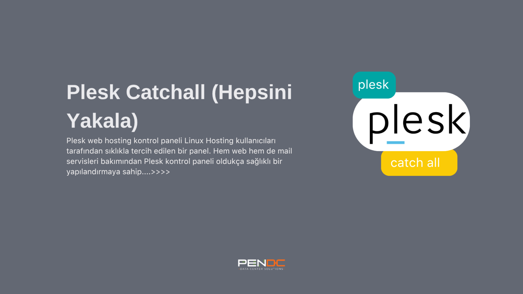 Plesk 301 Yönlendirme Nasıl Yapılır? | PenDC Blog Sayfası