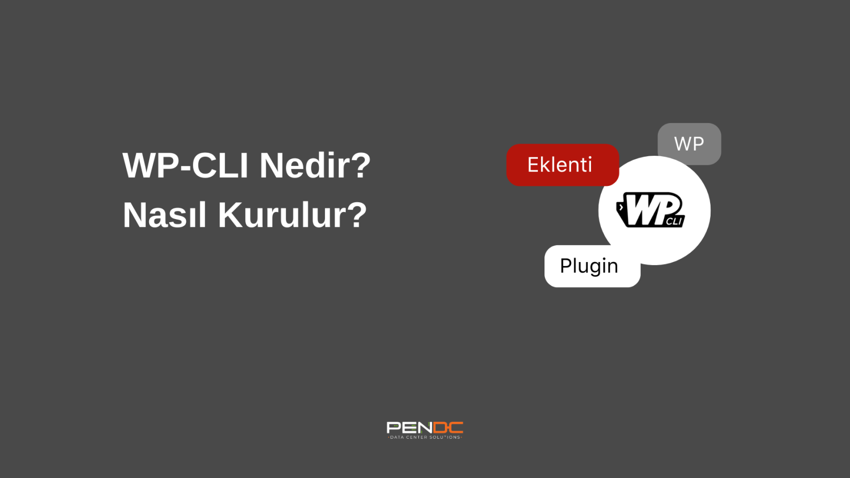 WP-CLI Nedir? Nasıl Kurulur? | PenDC Blog Sayfası