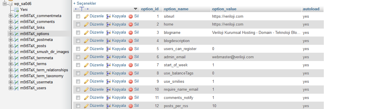 Wordpress "Too Many Redirects" Hatası | PenDC Blog Sayfası